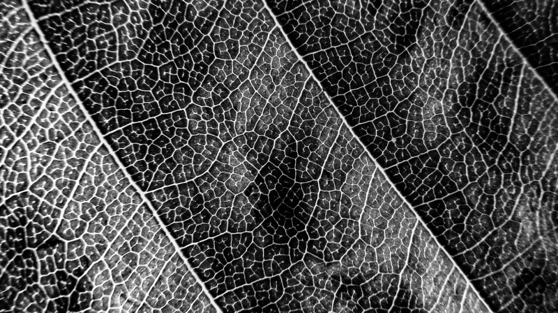 Complex Systems: A Landscape View - Julio Mario Ottino